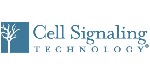 Cell Signaling Technology - Downing Displays